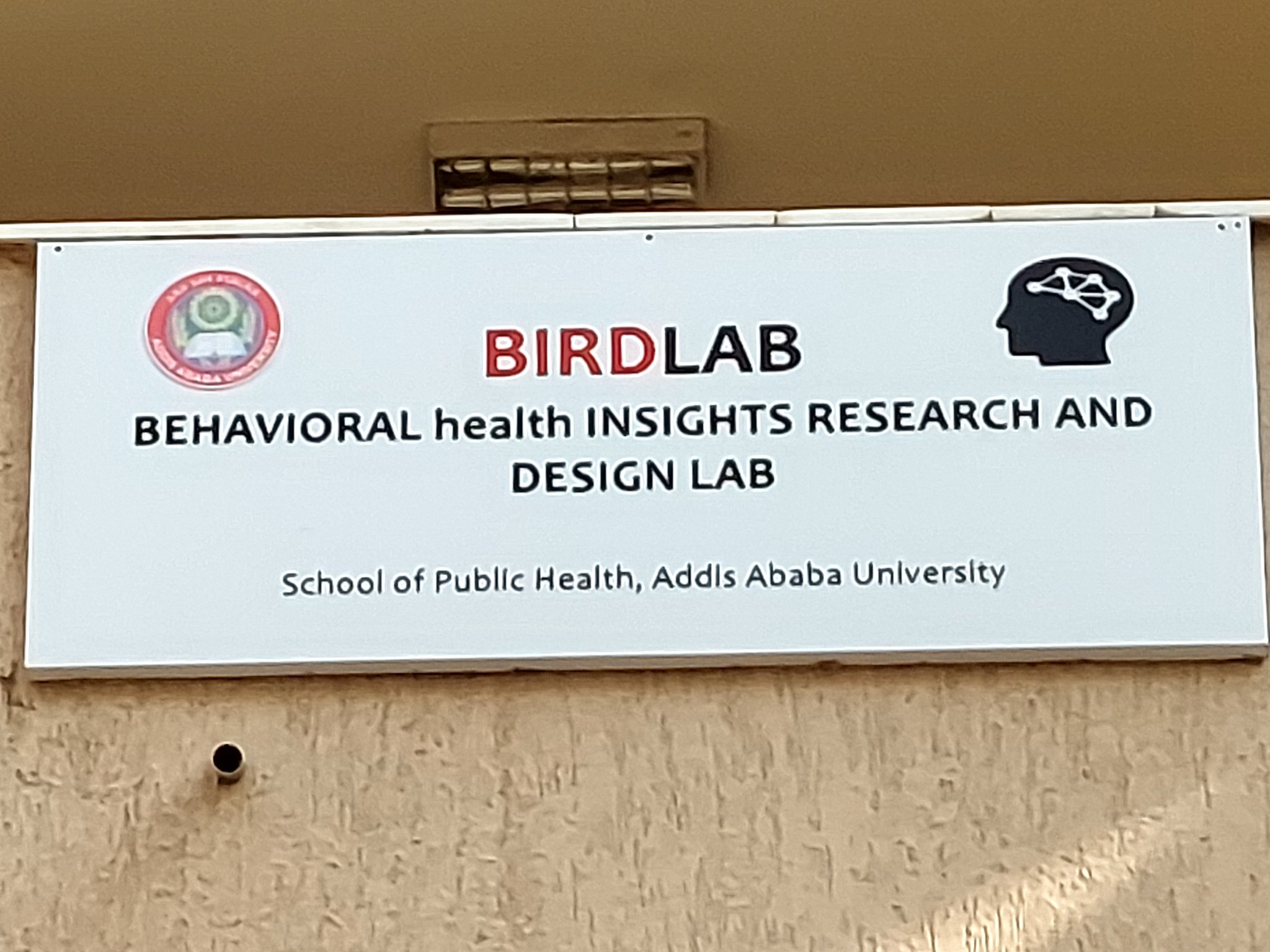 BIRD LAB - Behavioral Health Insights Research and Design LAB Ethiopia